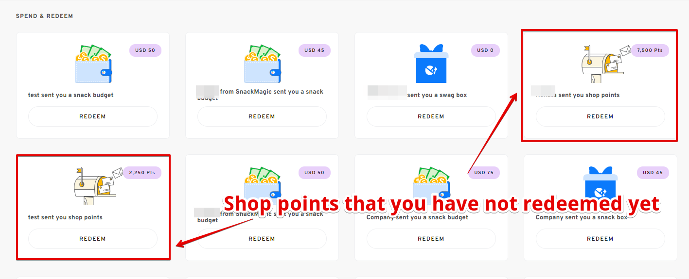 How to Place an Order Using Redeemed Shop Points or Shop Credits – Stadium